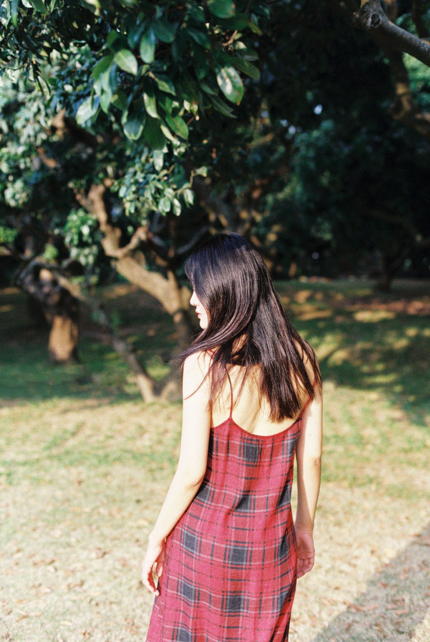 雪莉 – 《11月结束之前》[25P]-66COS