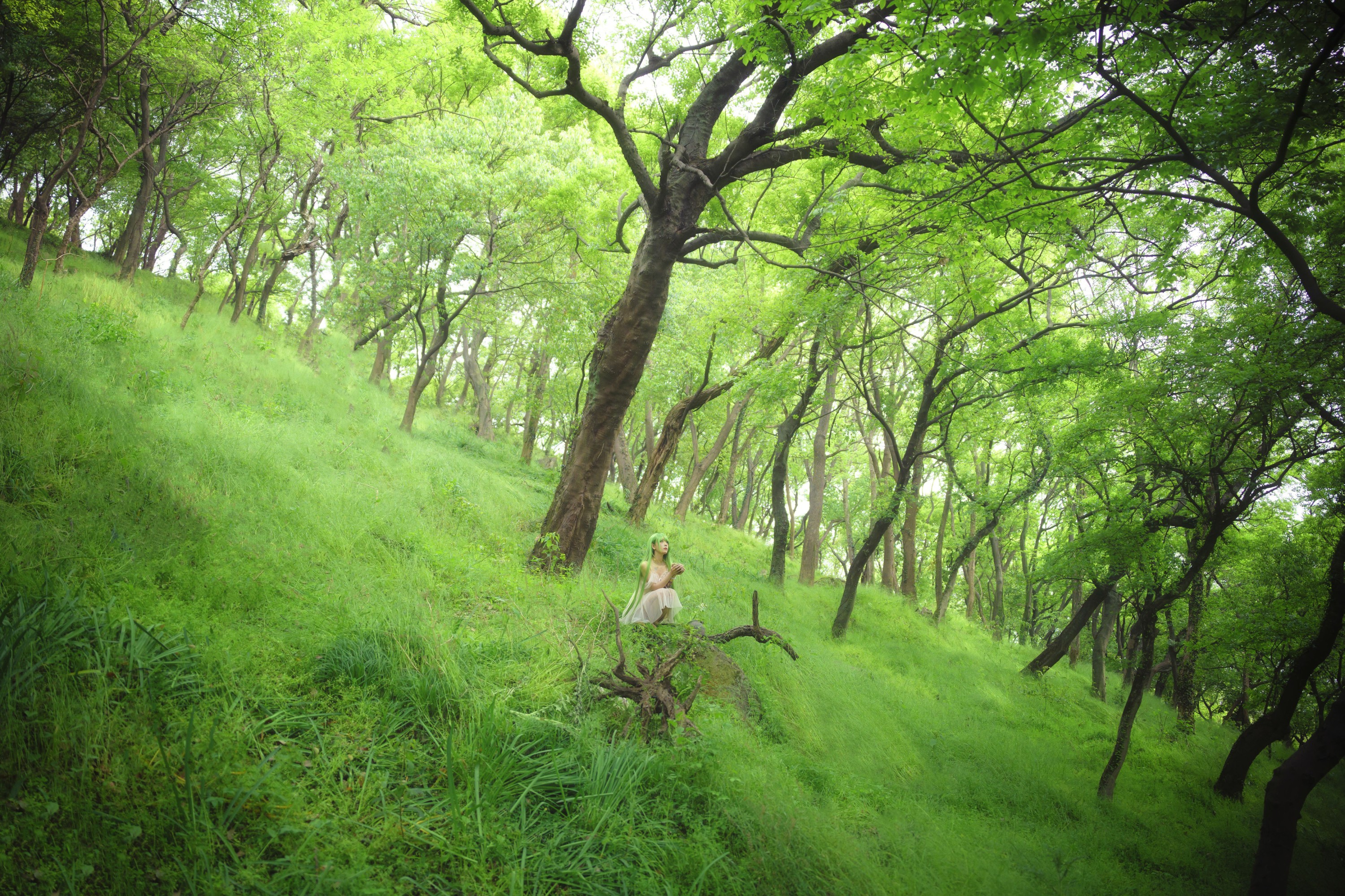 小熊 – 《万物生长》[19P]-66COS