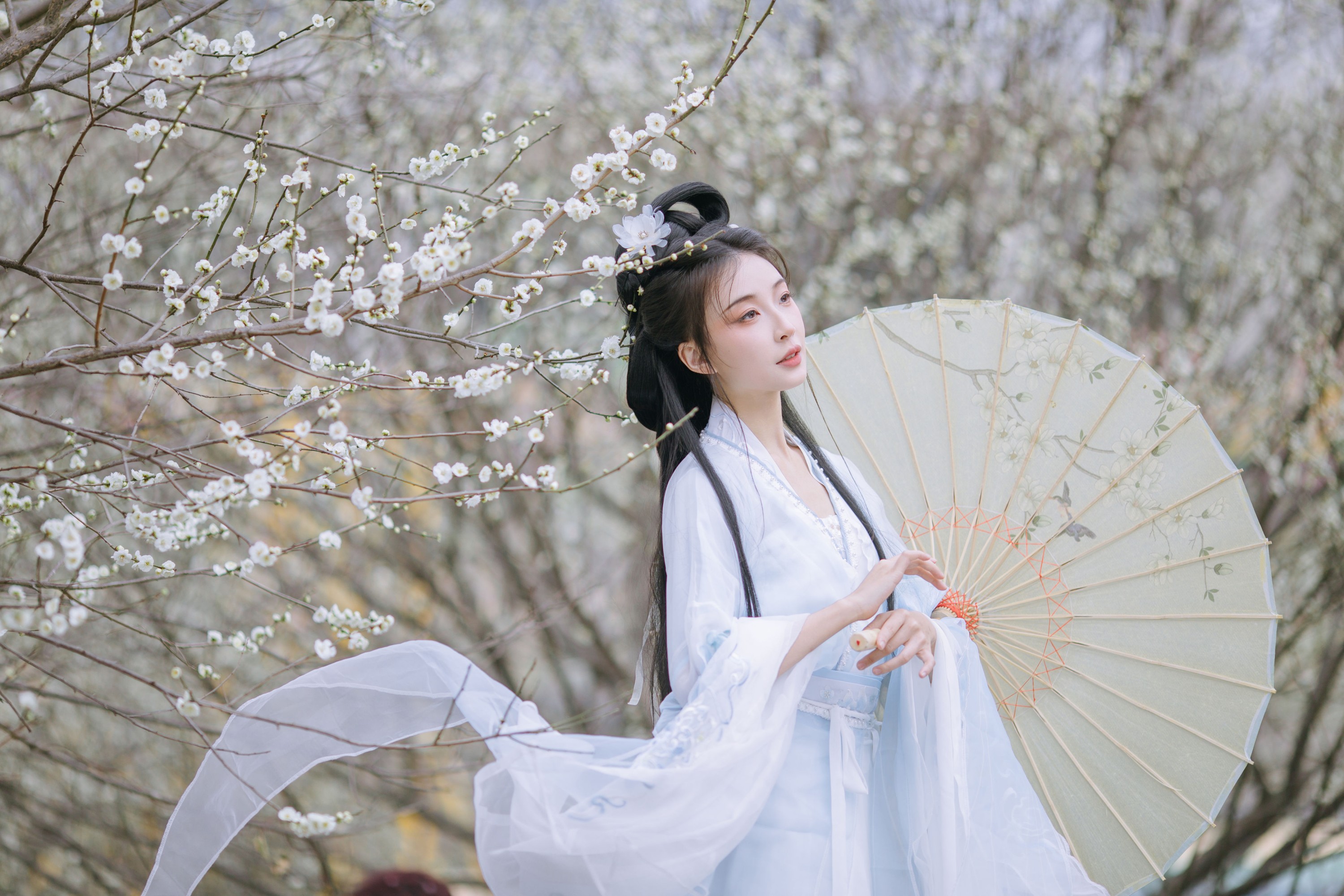 无巧不成狐（兮雅） – 《暗香浮动》[18P]-66COS