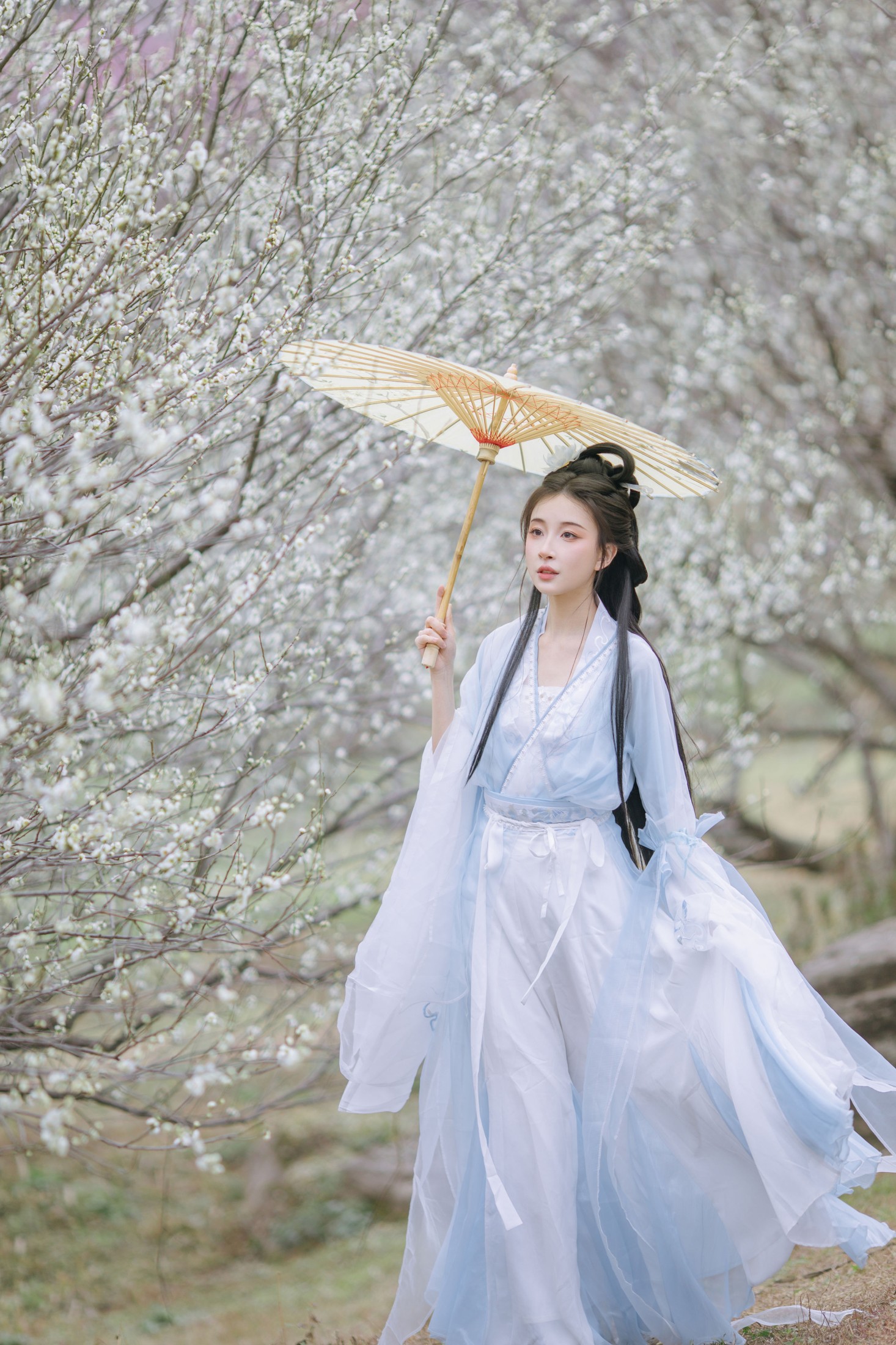 无巧不成狐（兮雅） – 《暗香浮动》[18P]-66COS