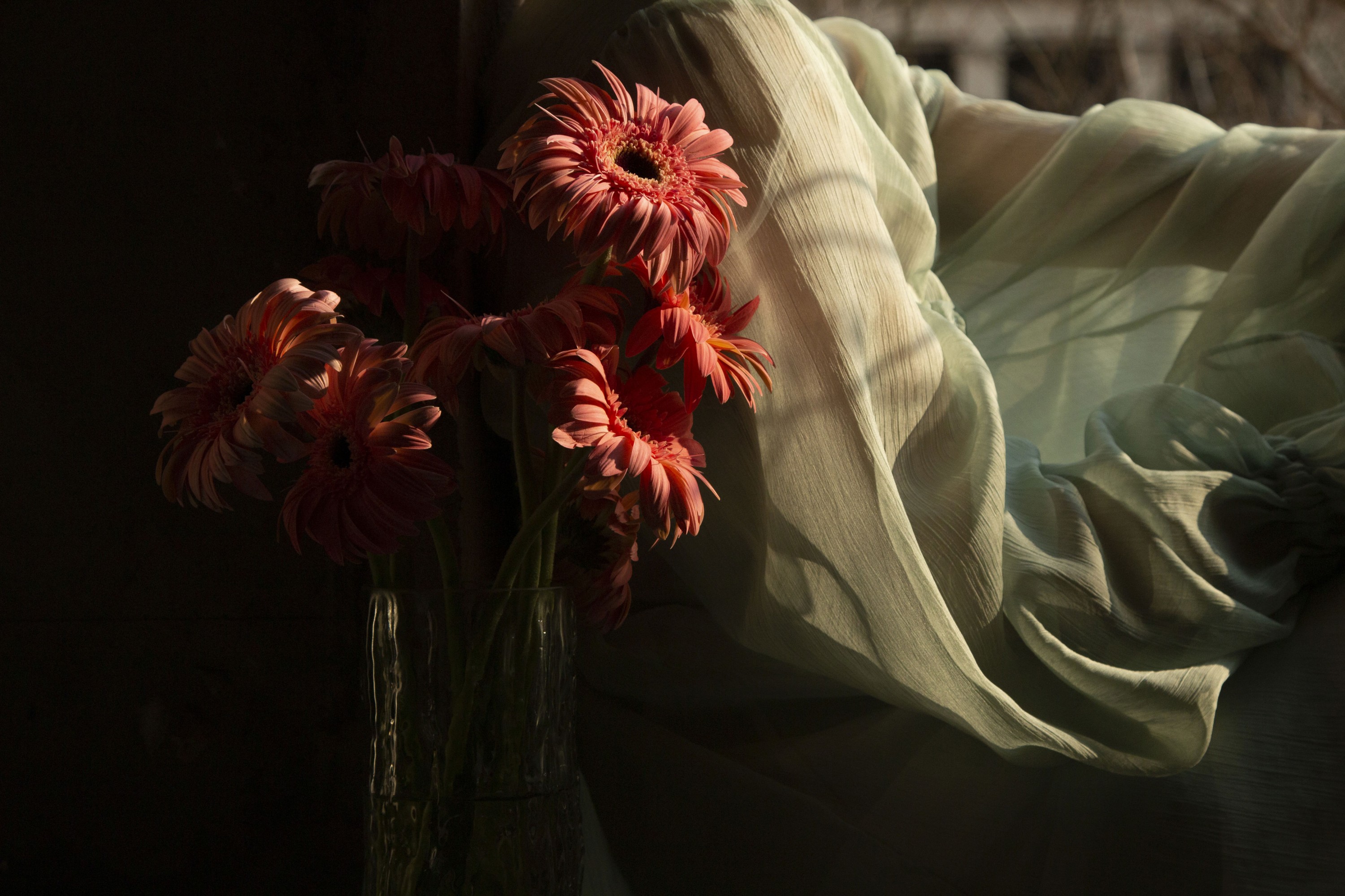 《被误解是表达者的宿命》[17P]-66COS